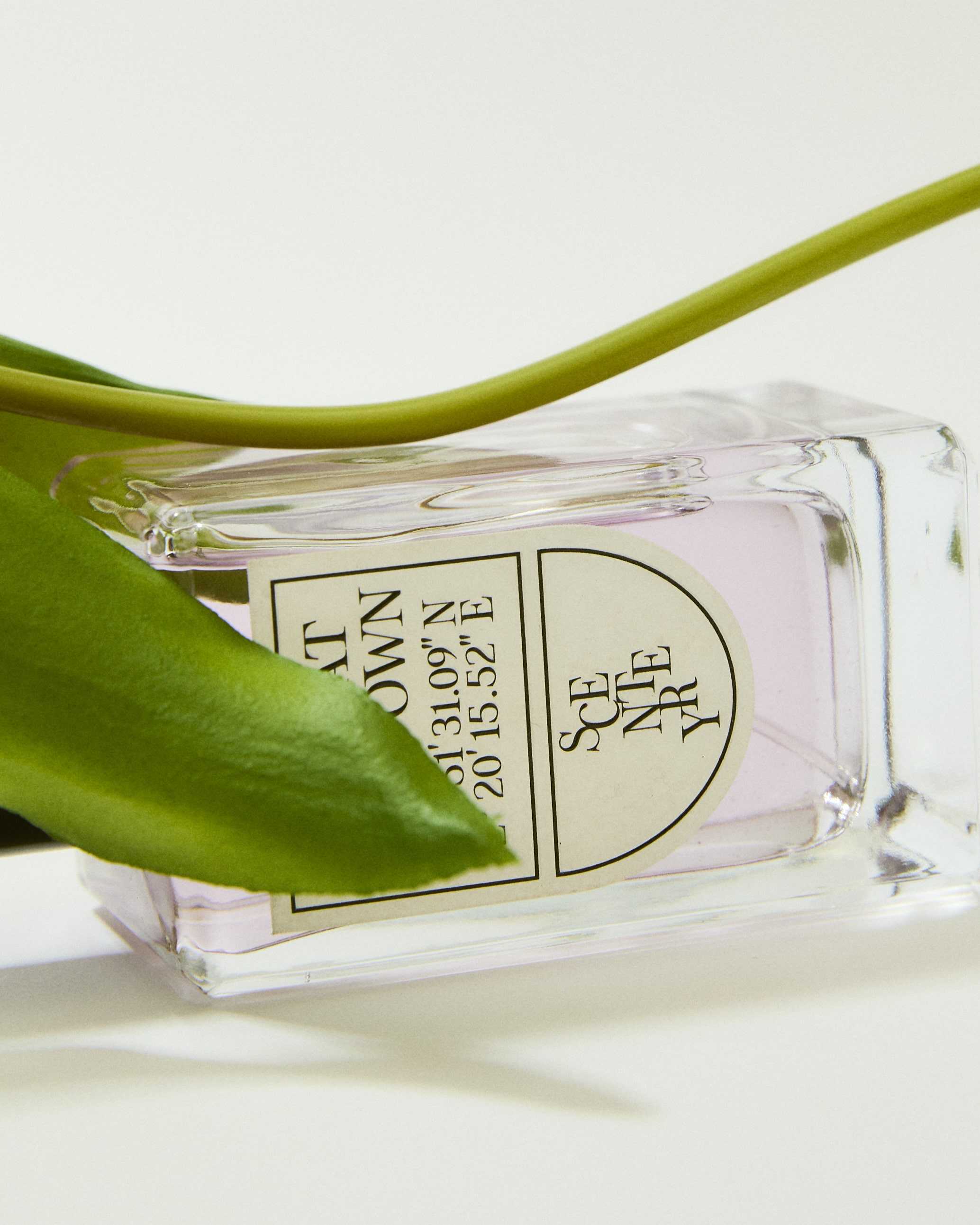 น้ำหอม Scentery รุ่น Love at Sundown, Eau de Parfum 35ml, 100ml, น้ำหอม ...