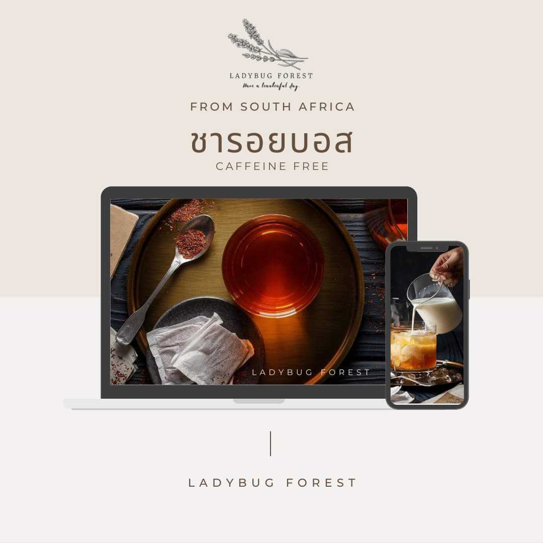 African Dawn Rooibos Tea จาก South Africa ชาแดง รอยบอส 100g organic ชา ...