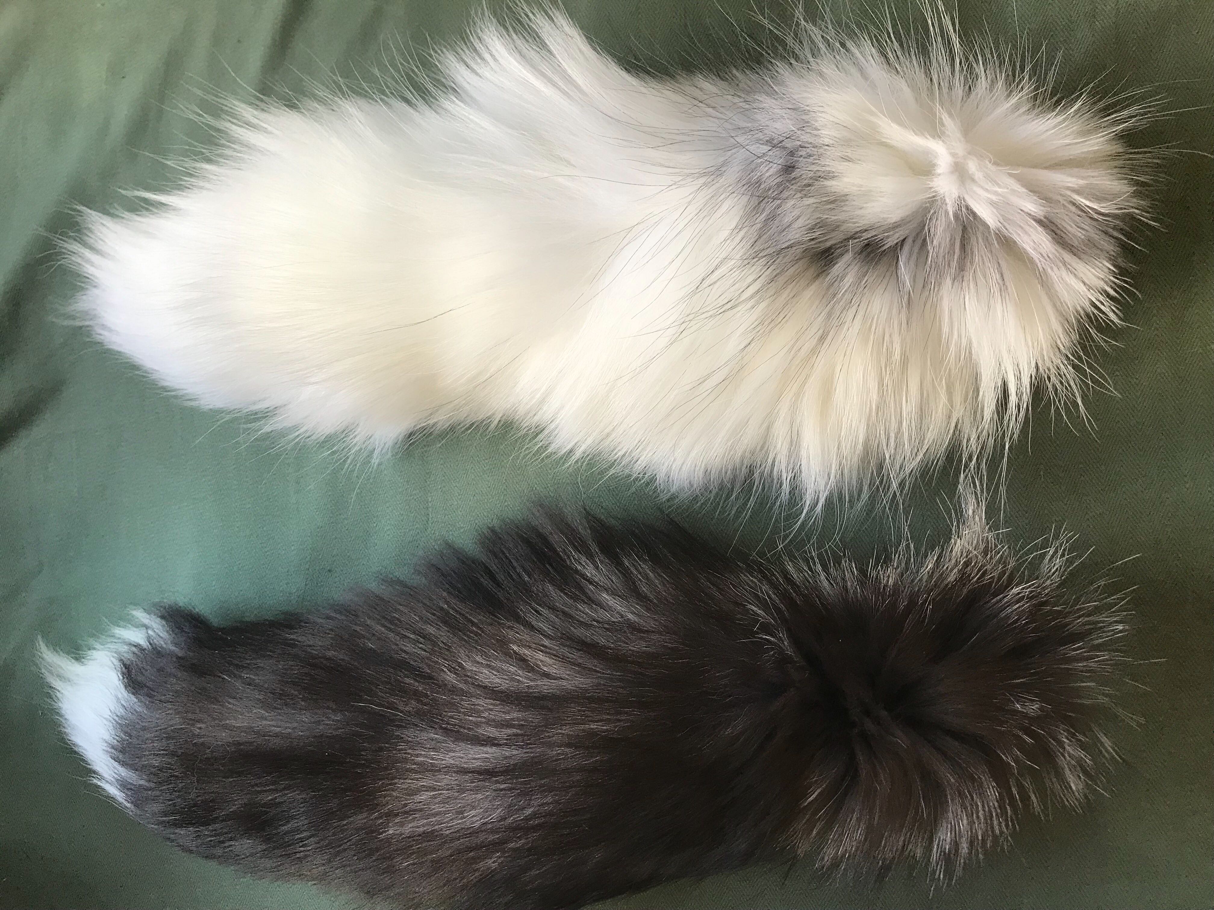 หางแมวแบบแม่เหล็ก พร้อมส่ง | LINE SHOPPING