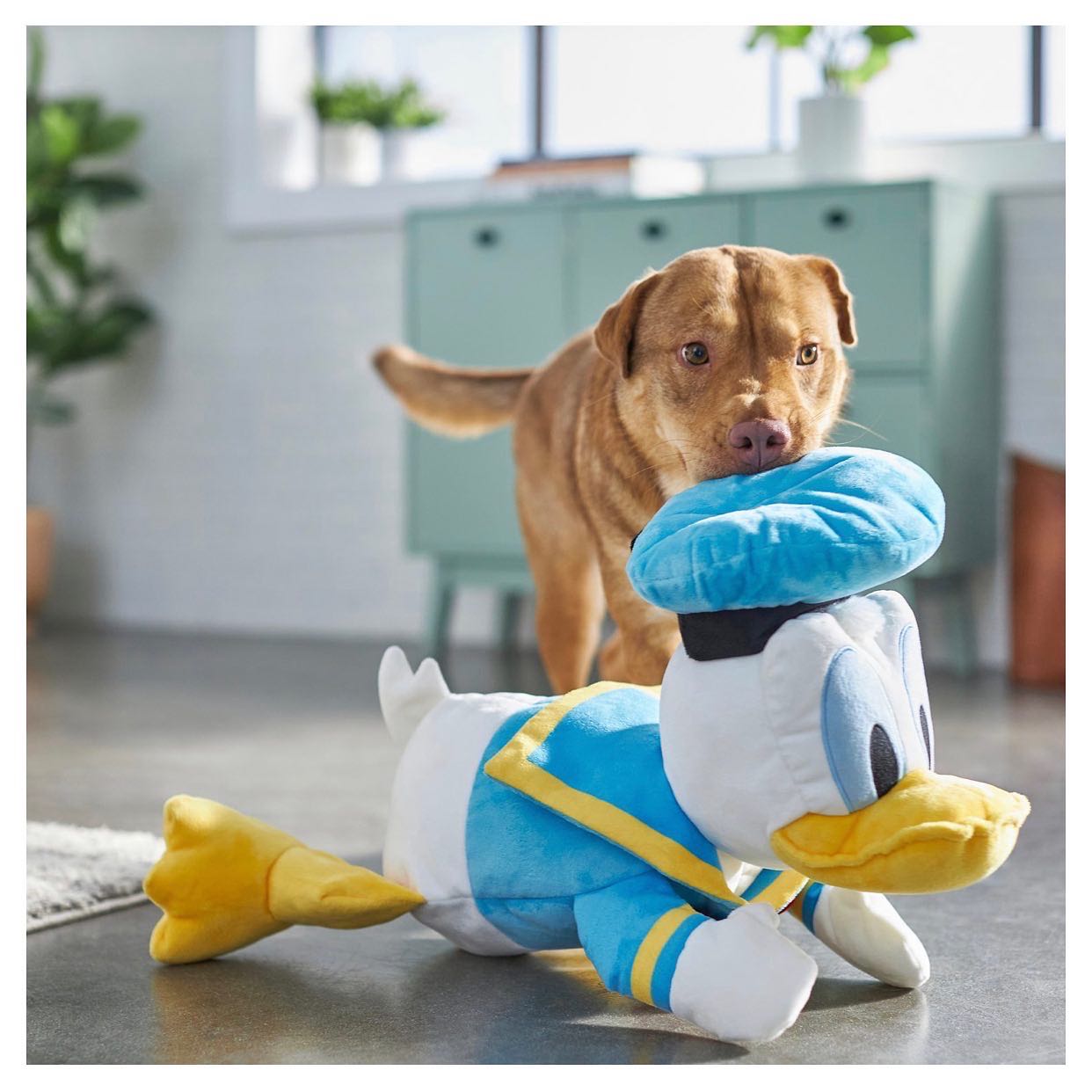 ของเล่หมา Donald Duck Jumbo Plush Squeaky | LINE SHOPPING