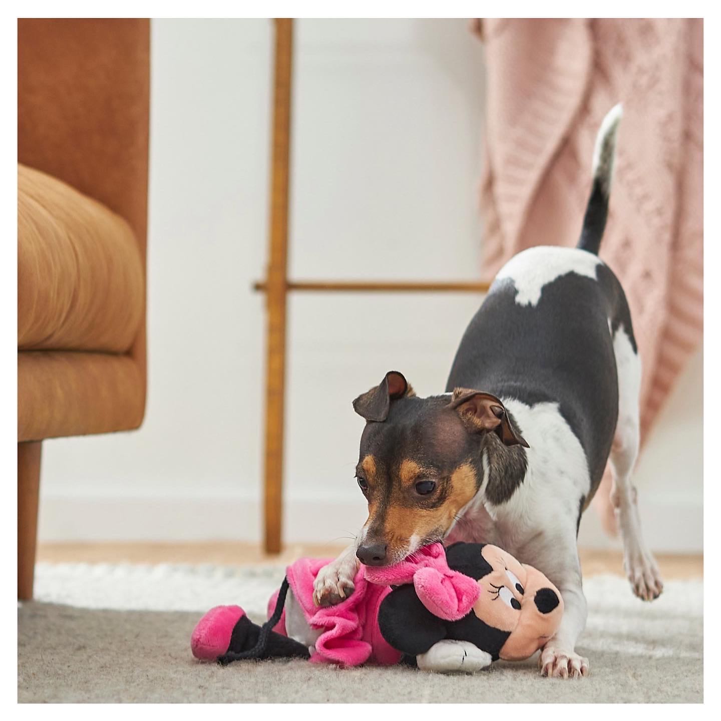 ของเล่นหมา Minnie Mouse and Daisy Duck Plush Squeaky Toy | LINE SHOPPING