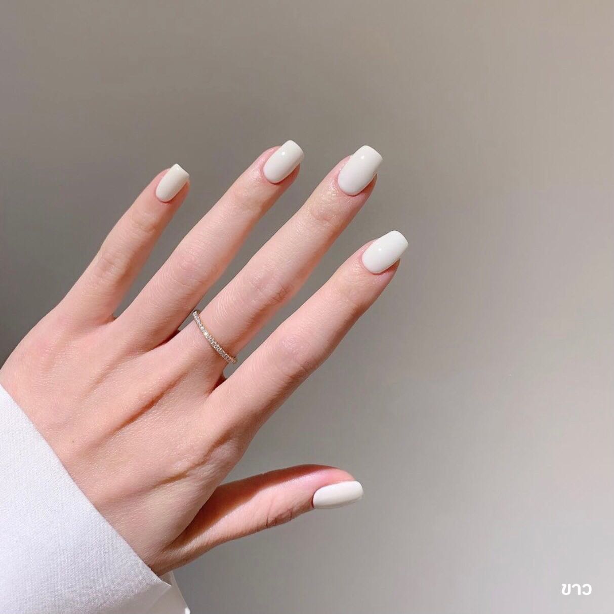 Rada Nail รวมสีคลาสสิค Everyday look | LINE SHOPPING