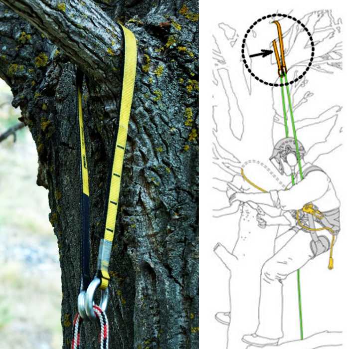 สายพาดกิ่ง Petzl Treesbee | LINE SHOPPING