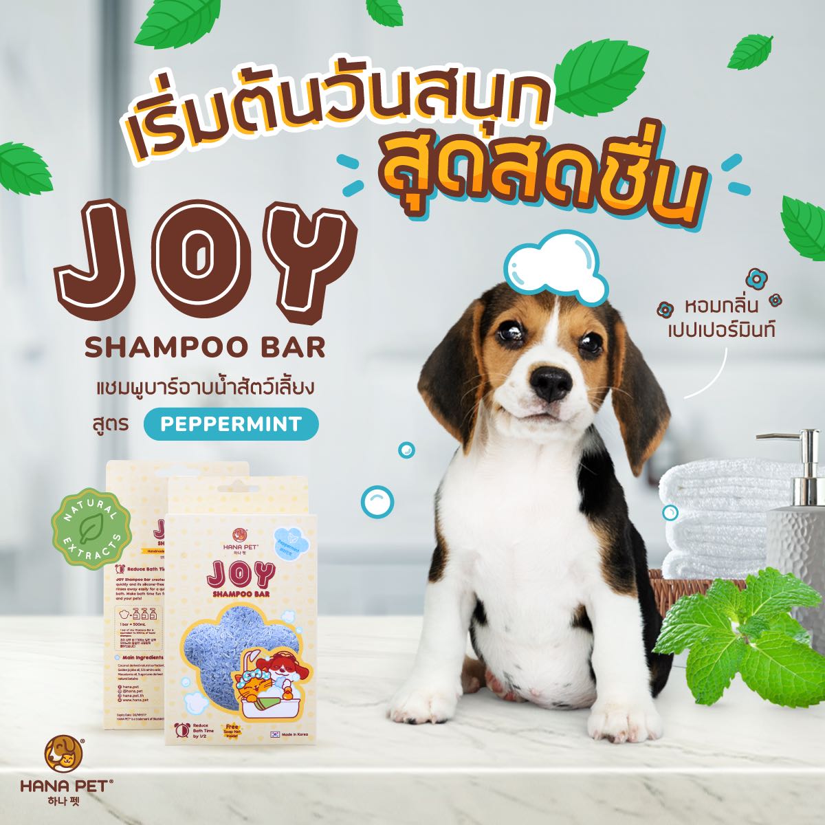 Hana Pet (하나 펫) | LINE SHOPPING