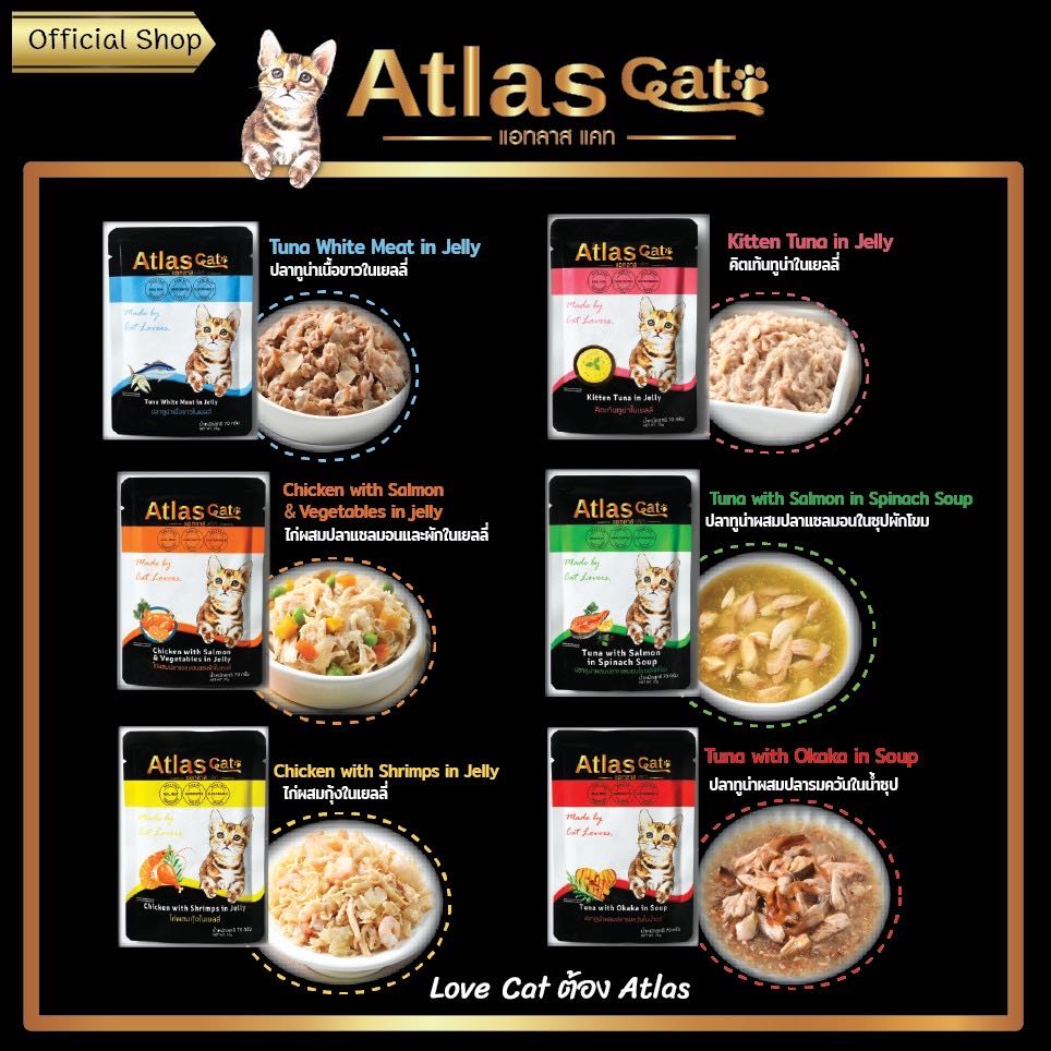 Atlas Cat Complementary | LINE SHOPPING