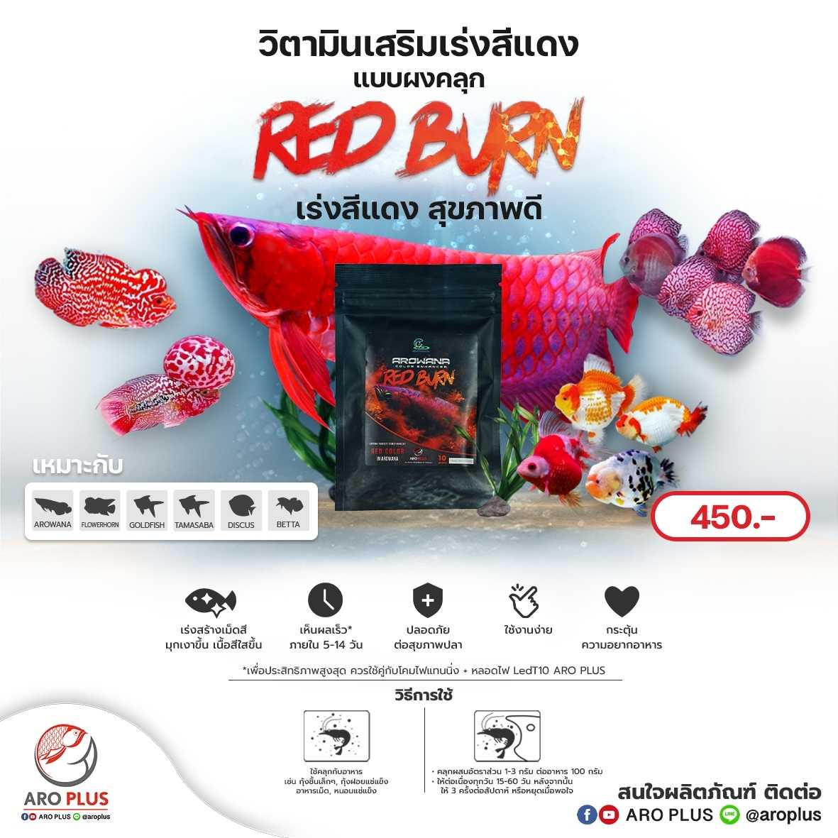 ARO PLUS | LINE SHOPPING
