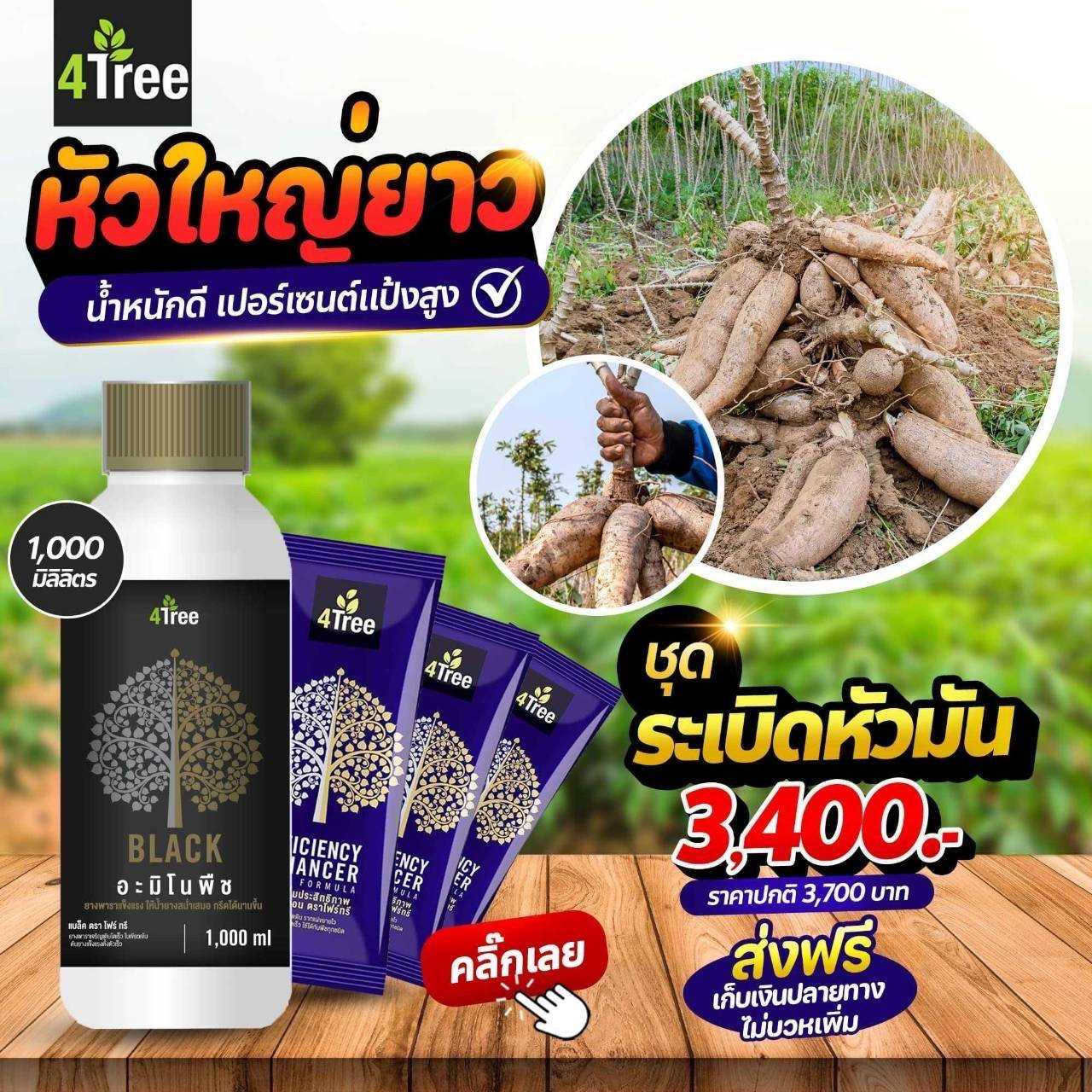 เกษตรอินทรีย์ลดทุน | LINE SHOPPING