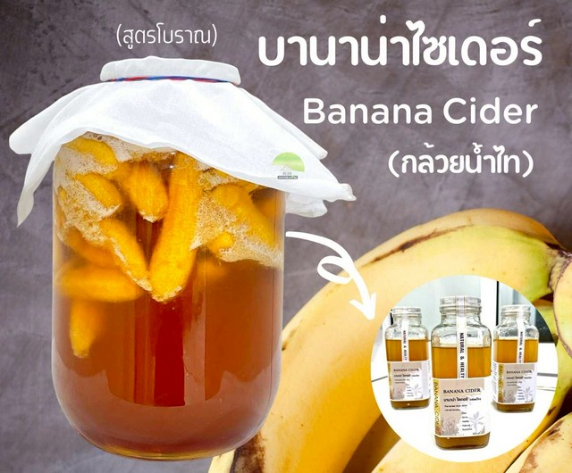 บานาน่า ไซเดอร์ | Banana Cider (กล้วยน้ำไทหมักน้ำผึ้ง) | LINE SHOPPING