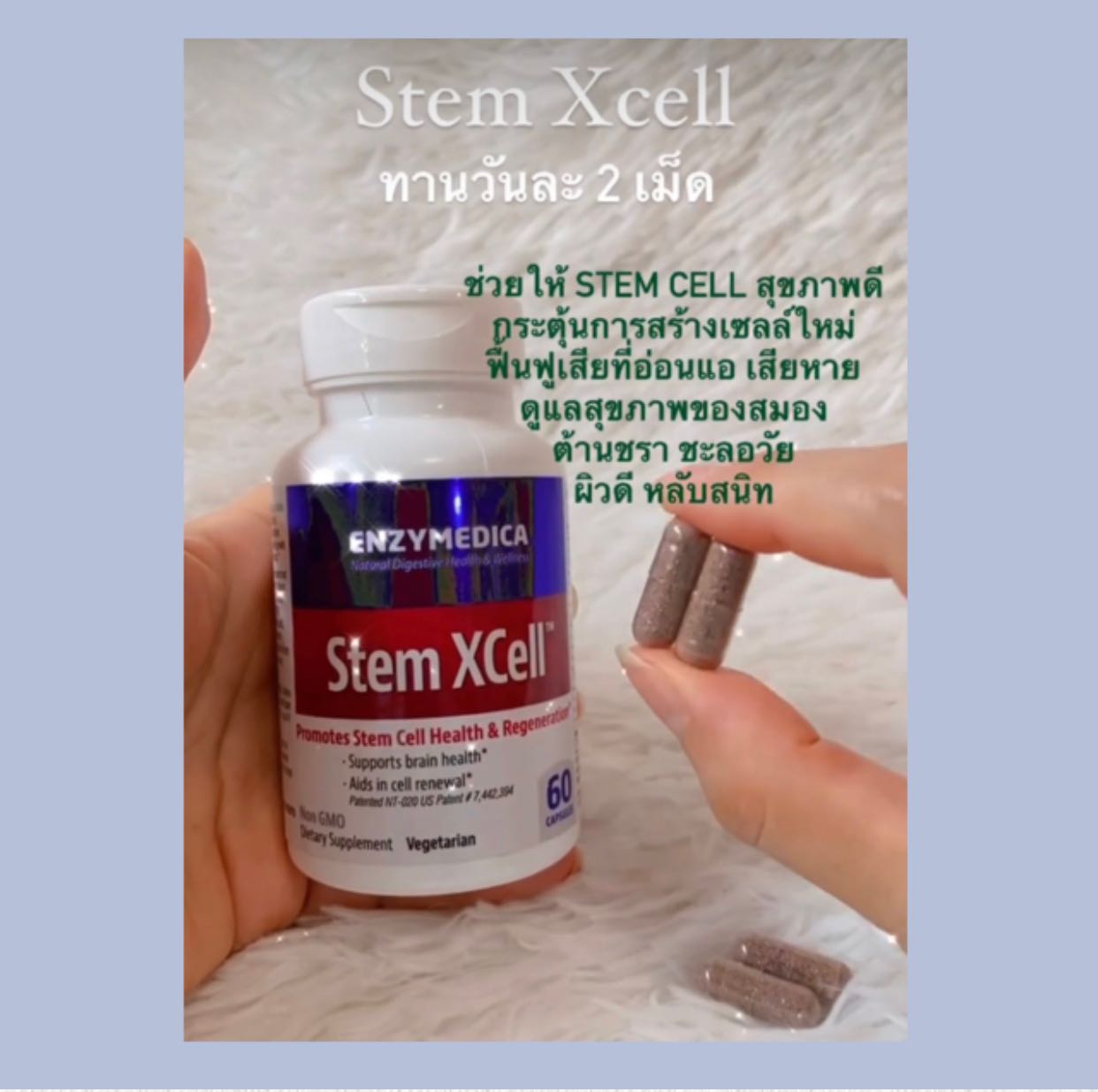 Enzymedica Stem XCell 60 Capsules | LINE SHOPPING