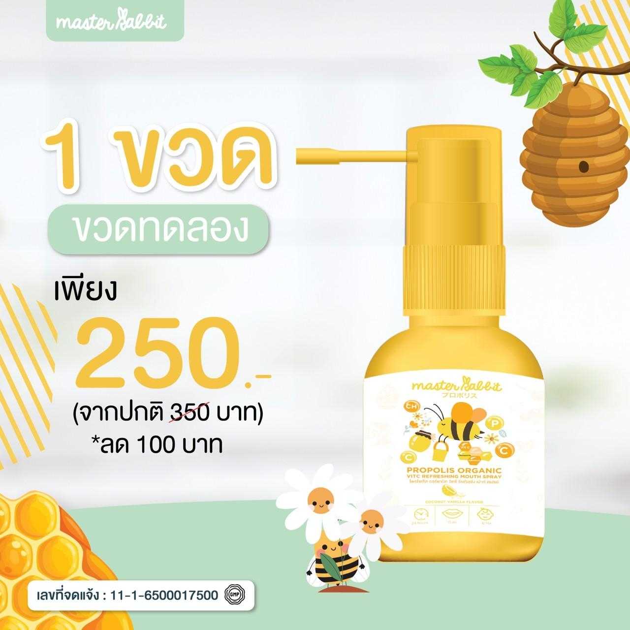 Master Rabbit | LINE SHOPPING