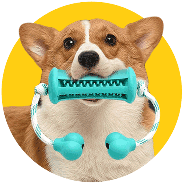 Chubbies PetSupplies | LINE SHOPPING
