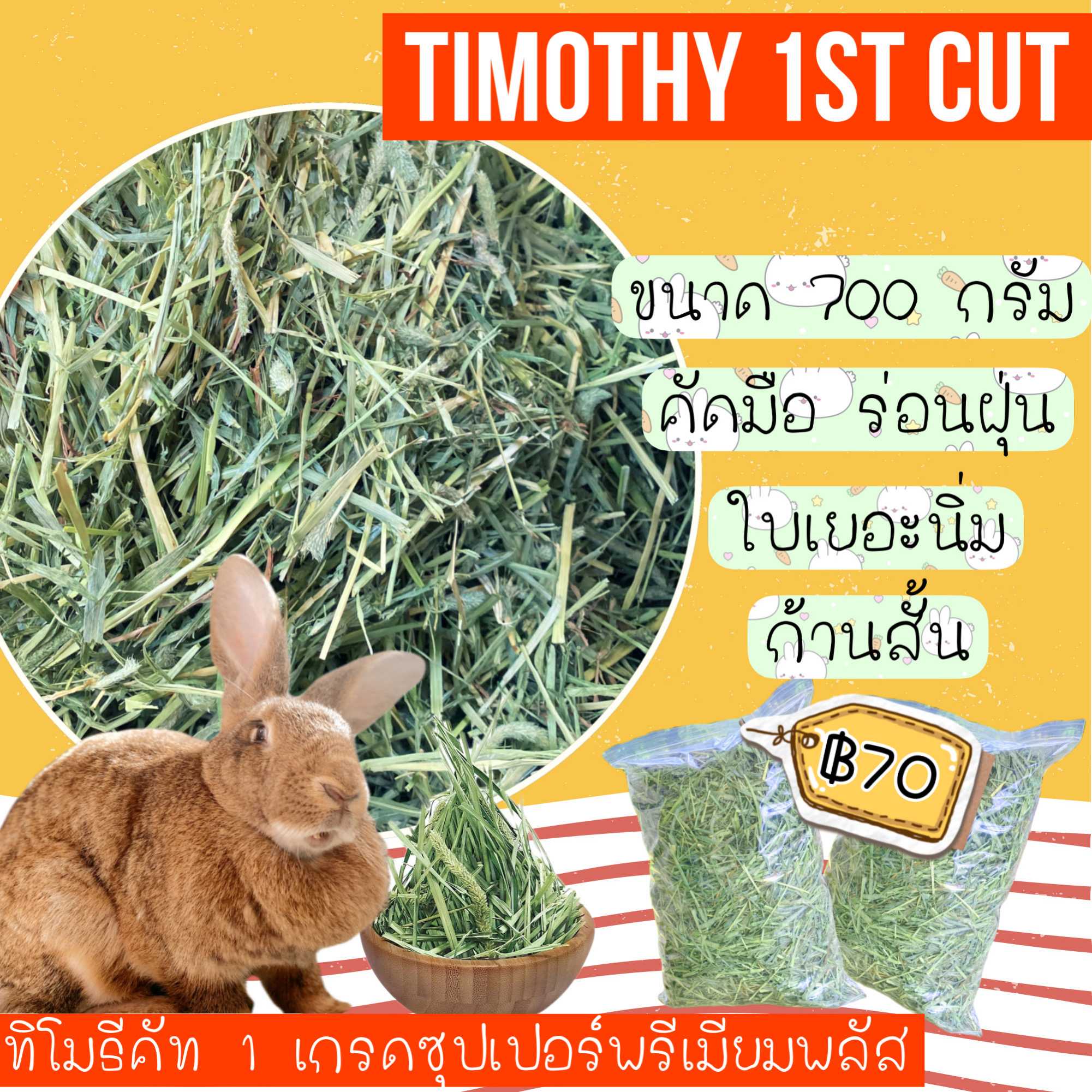 หญ้าทิมใบสั้น เกรดA ขนาด 700กรัม ทิโมธีคัท1เกรดม้าซุปเปอร์พรีเมียมพลัส ...