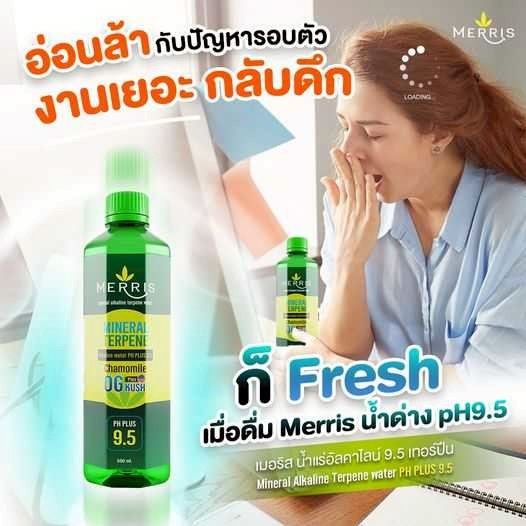 น้ำเมอริส Merris Mineral Alkaline | LINE SHOPPING