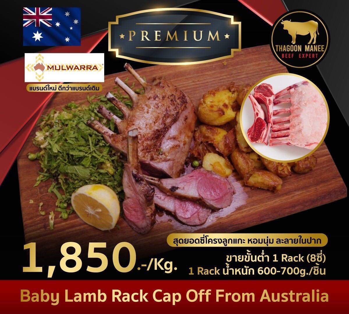 Baby Lamb Rack Cap Off From Australia | LINE SHOPPING