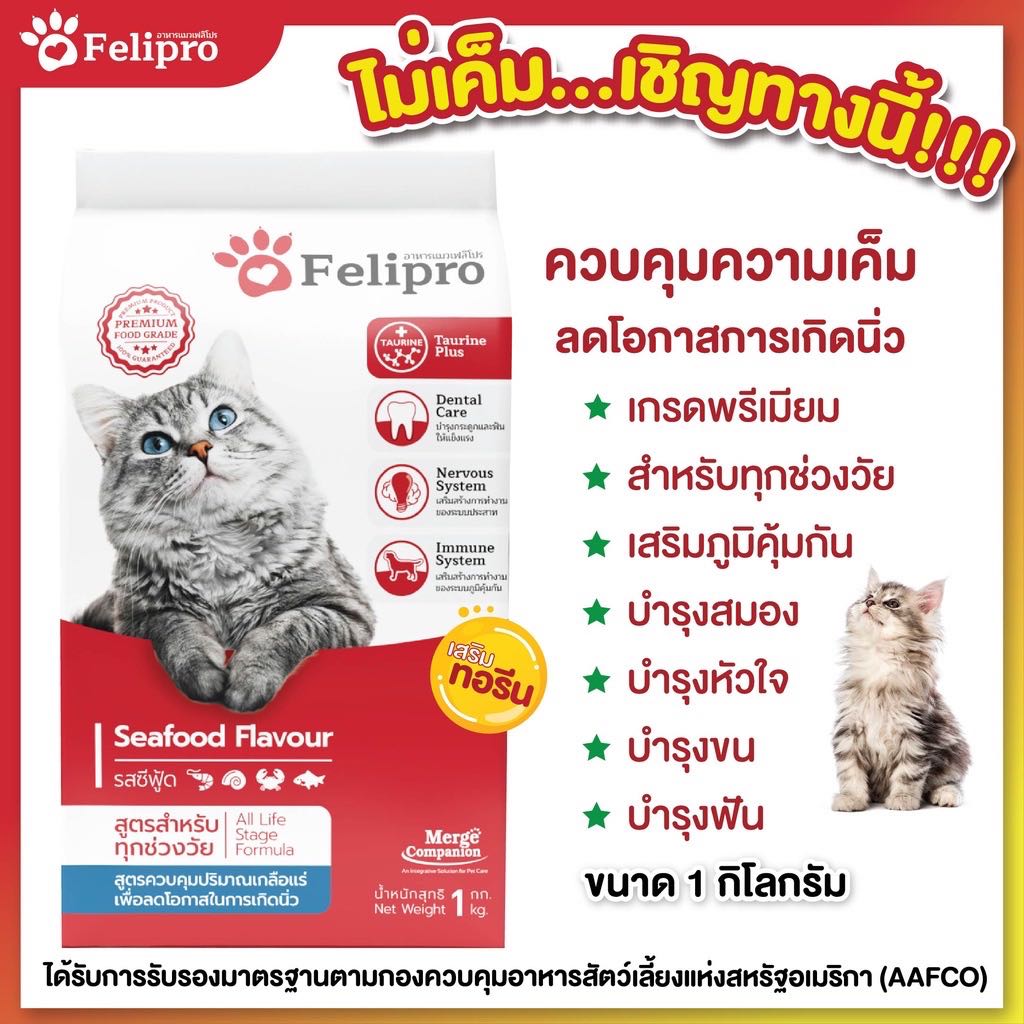Felipro Cat Food Seafood Flavour 1 kg | LINE SHOPPING