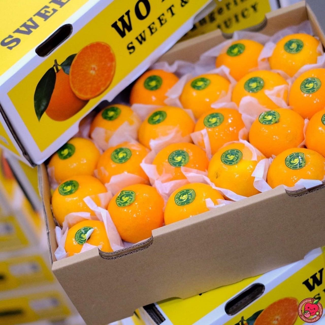 CRAZY Fruits | LINE SHOPPING