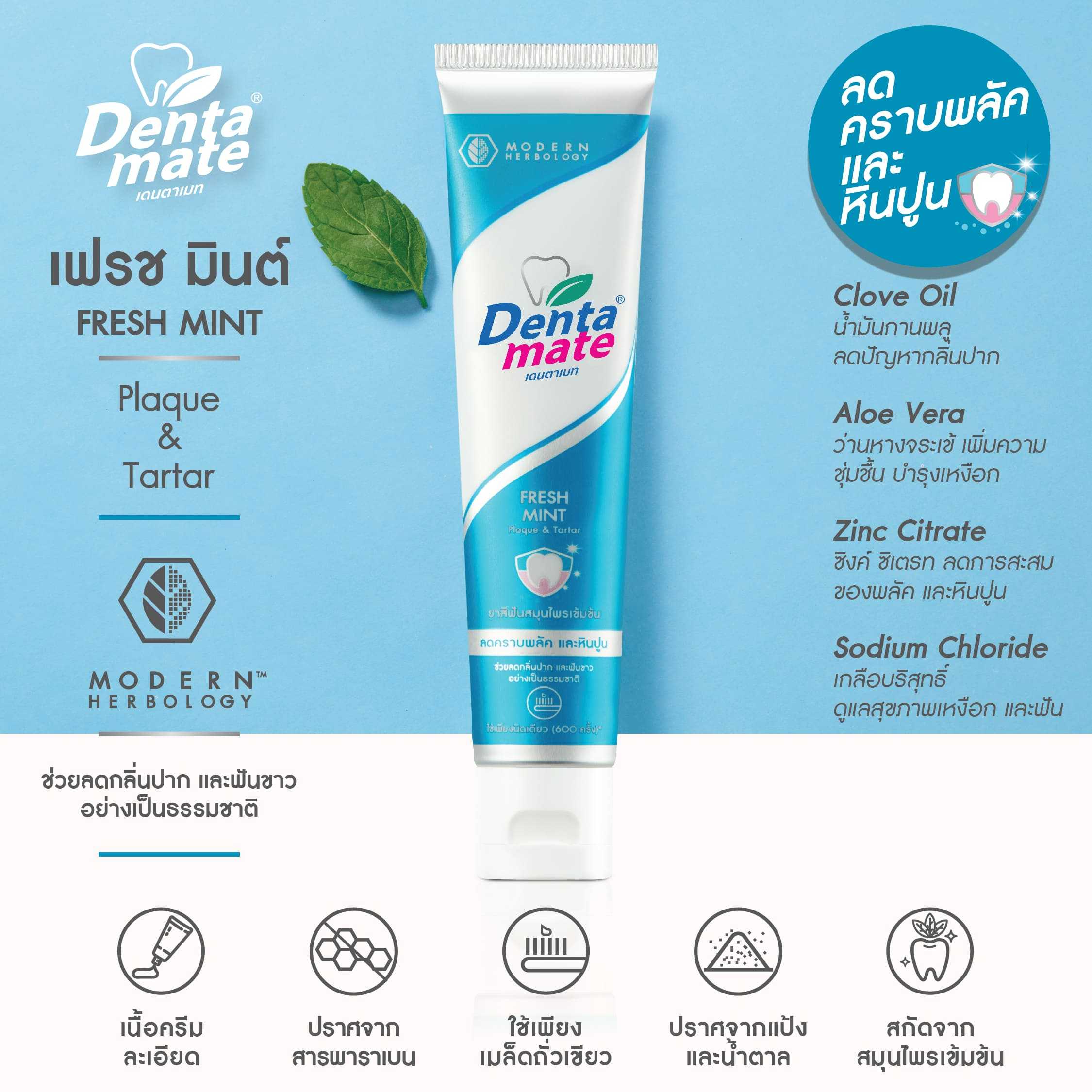 DENTAMATE FRESH MINT เดนตาเมท ยาสีฟันสมุนไพรสกัด เฟรชมินต์ 100 กรัม 1 ...