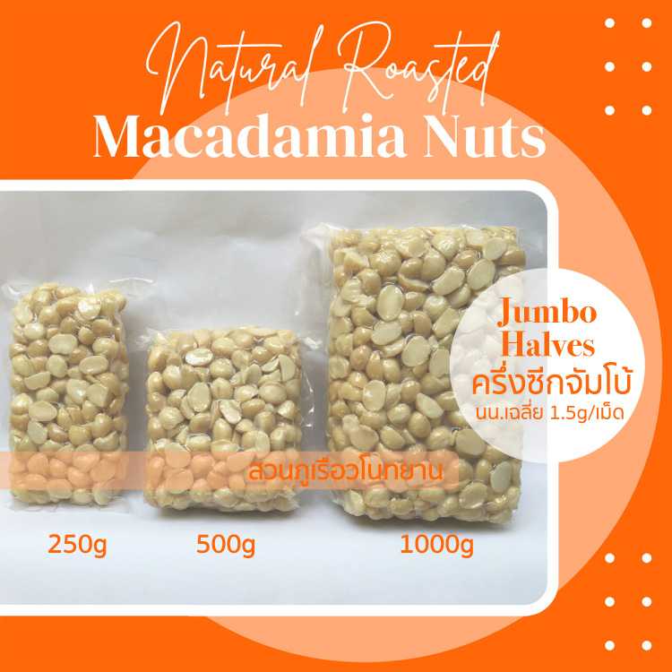 แมคคาเดเมีย ครึ่งซีกจัมโบ้ Macadamia B1 Jumbo Halves | LINE SHOPPING