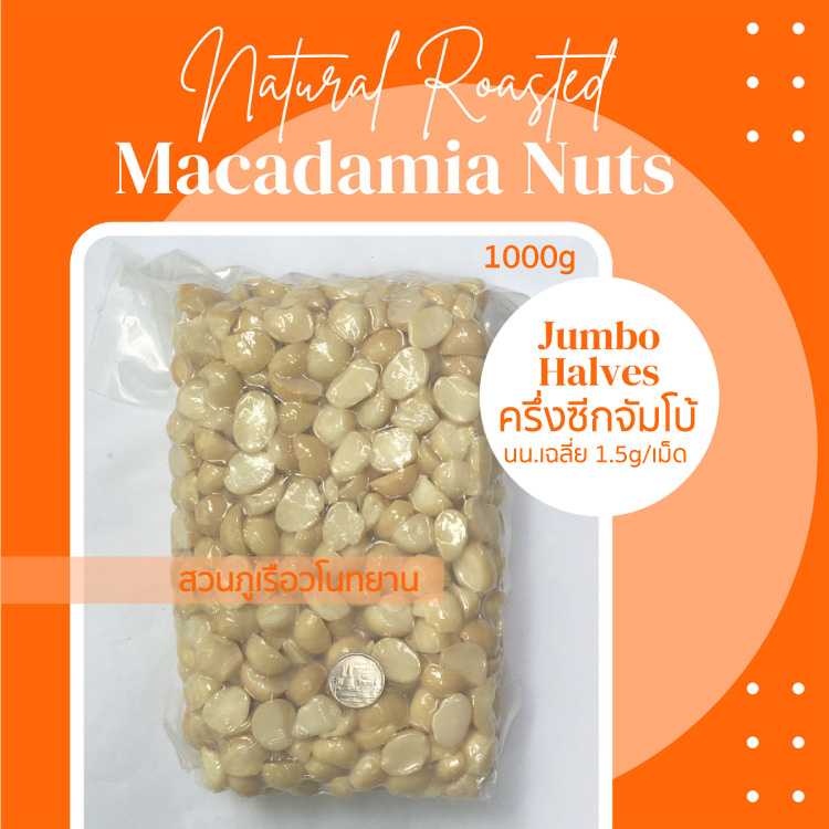 แมคคาเดเมีย ครึ่งซีกจัมโบ้ Macadamia B1 Jumbo Halves | LINE SHOPPING