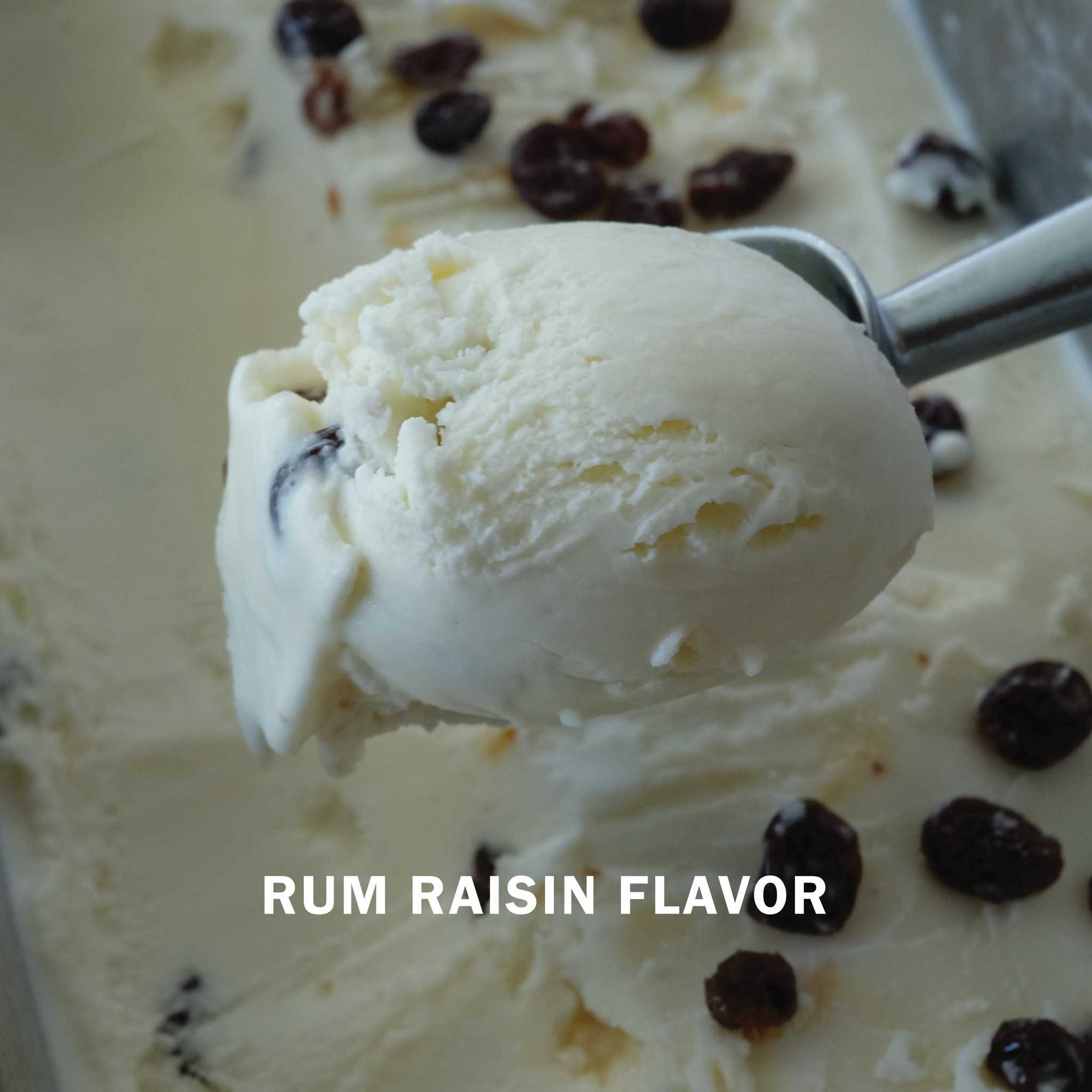Rum raisin ไอศครีมรสรัมเรซิ่น 1ถ้วย 16oz | LINE SHOPPING