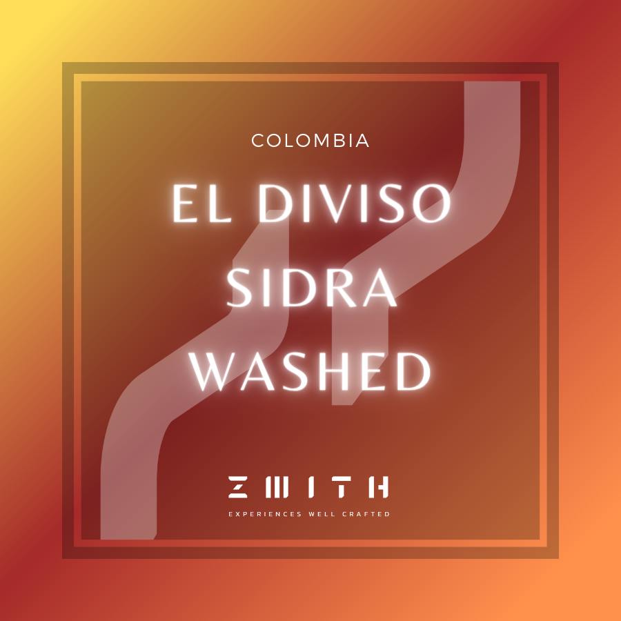 El Diviso SIDRA Washed - Roast Coffee (Whole Bean) - เมล็ดกาแฟคั่ว แบบ ...