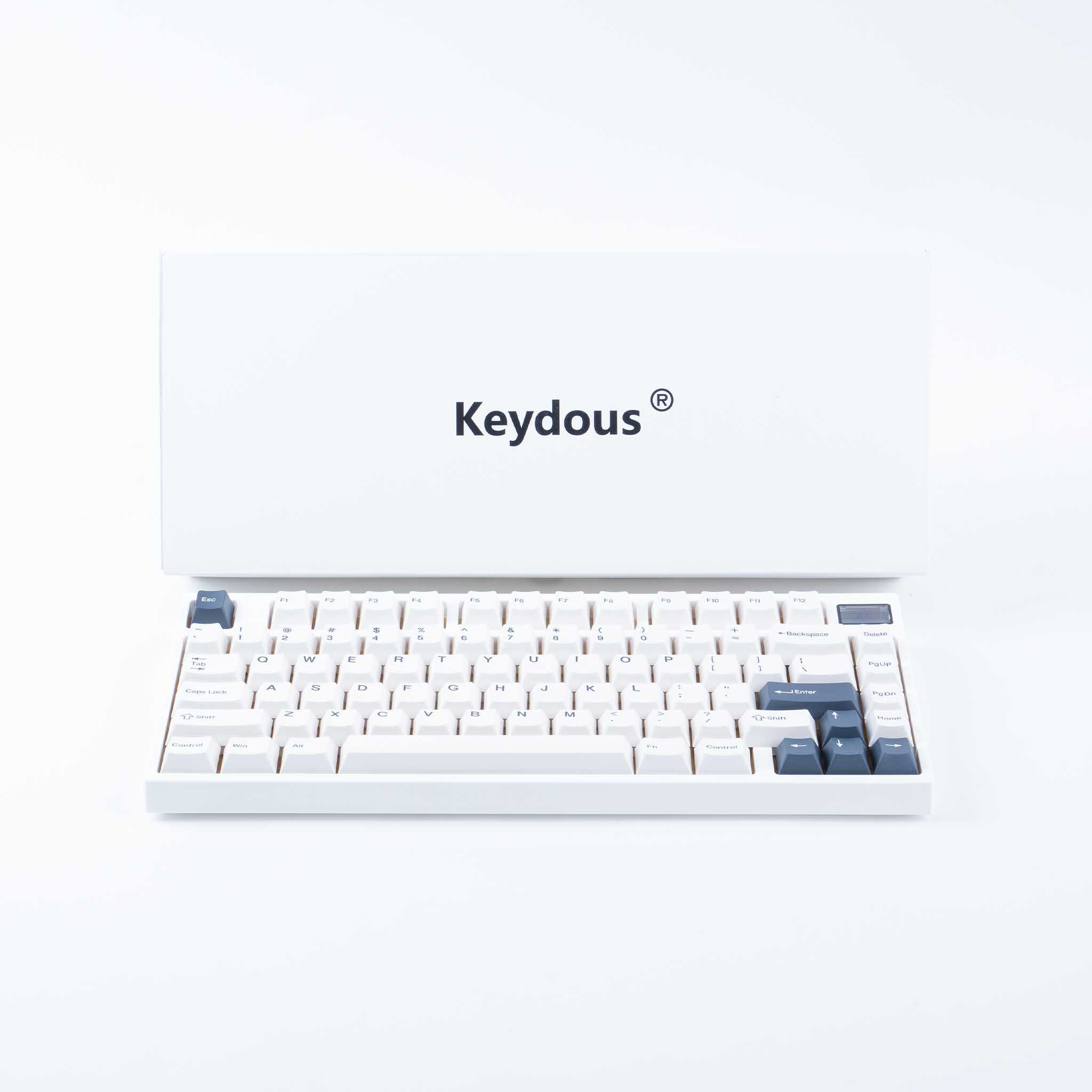 คีย์บอร์ด Keydous NJ81 White Moon Brass plate RGB 3 Mode RGB Hotswap 2 ...