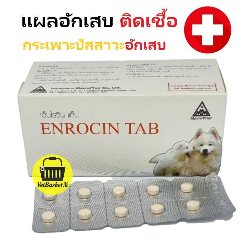 Vetbasket | LINE SHOPPING