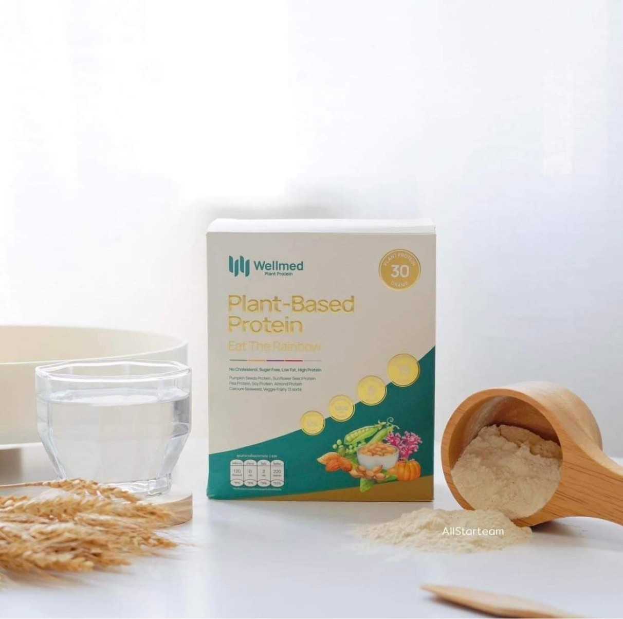 Wellmed Plant-Based Protein | LINE SHOPPING