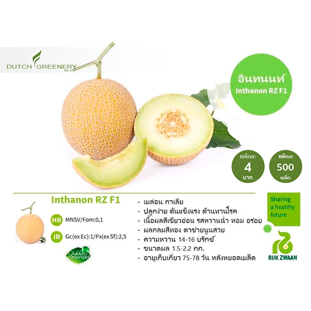 Melon - Inthanon RZ F1 | LINE SHOPPING