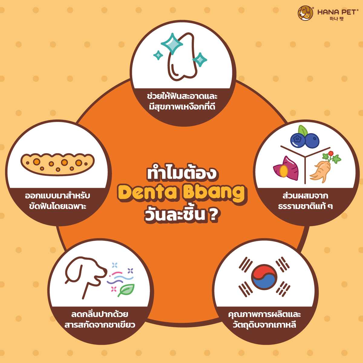 Hana Pet ขนมขัดฟันสุนัข Tasty Town Denta Bbang Daily Oral Care เทสตี้ทาวน์ เดนต้าปัง ทุกวันวันละ ...