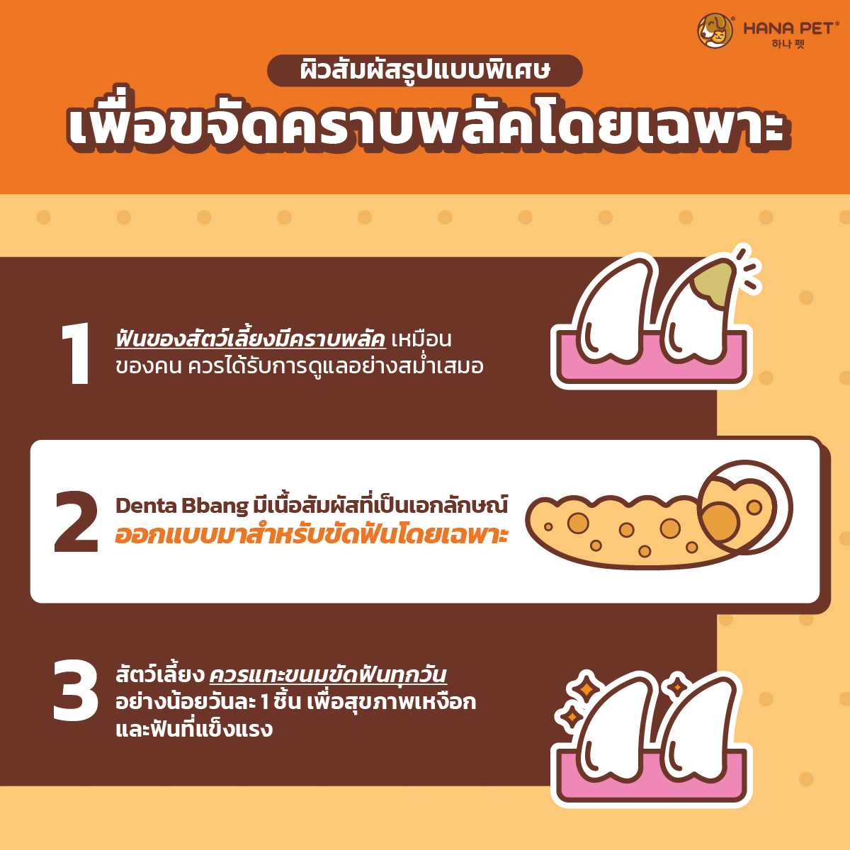 Hana Pet ขนมขัดฟันสุนัข Tasty Town Denta Bbang Daily Oral Care เทสตี้ทาวน์ เดนต้าปัง ทุกวันวันละ ...