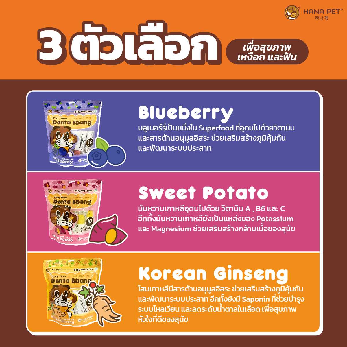Hana Pet ขนมขัดฟันสุนัข Tasty Town Denta Bbang Daily Oral Care เทสตี้ทาวน์ เดนต้าปัง ทุกวันวันละ ...