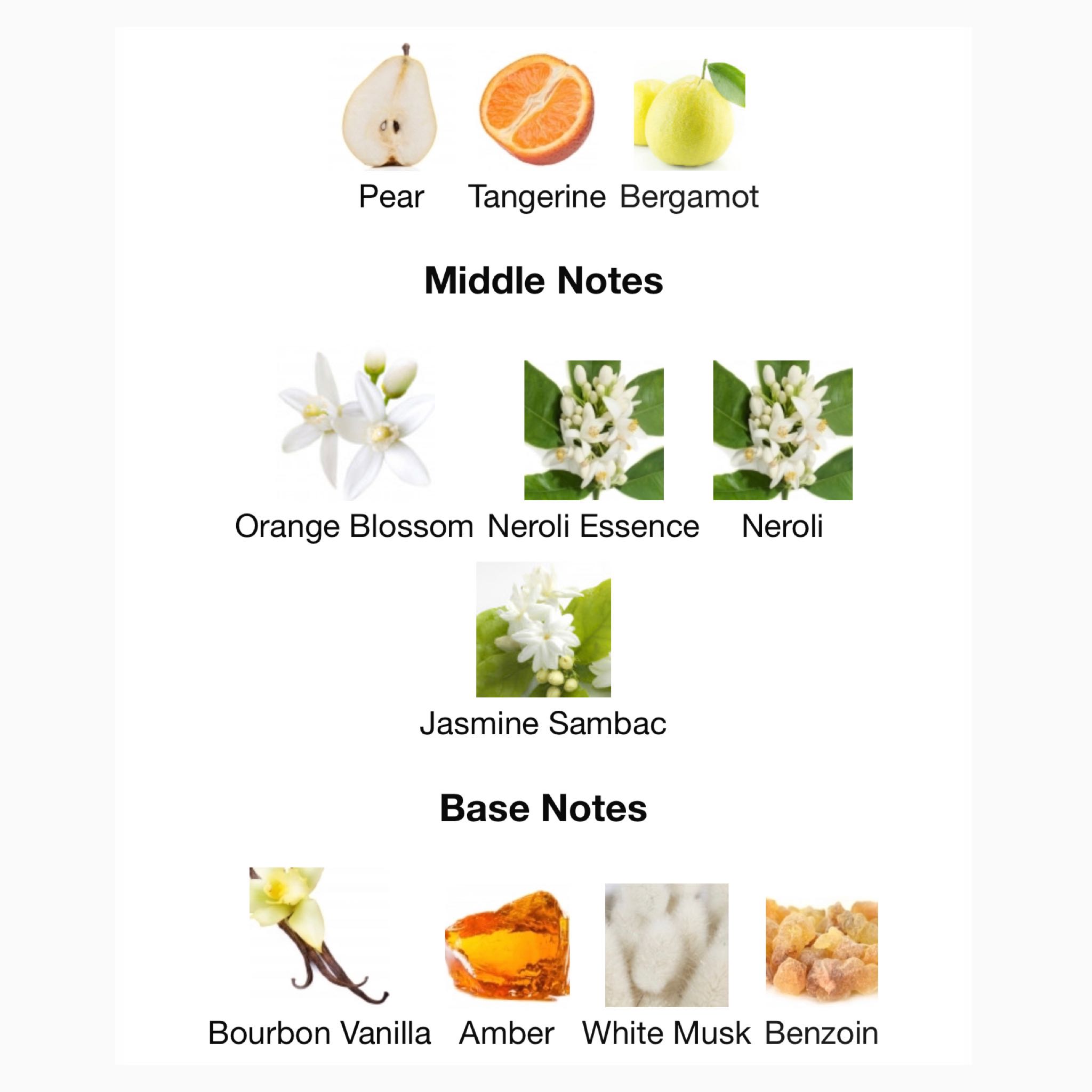 Prada Paradoxe (2022) | LINE SHOPPING