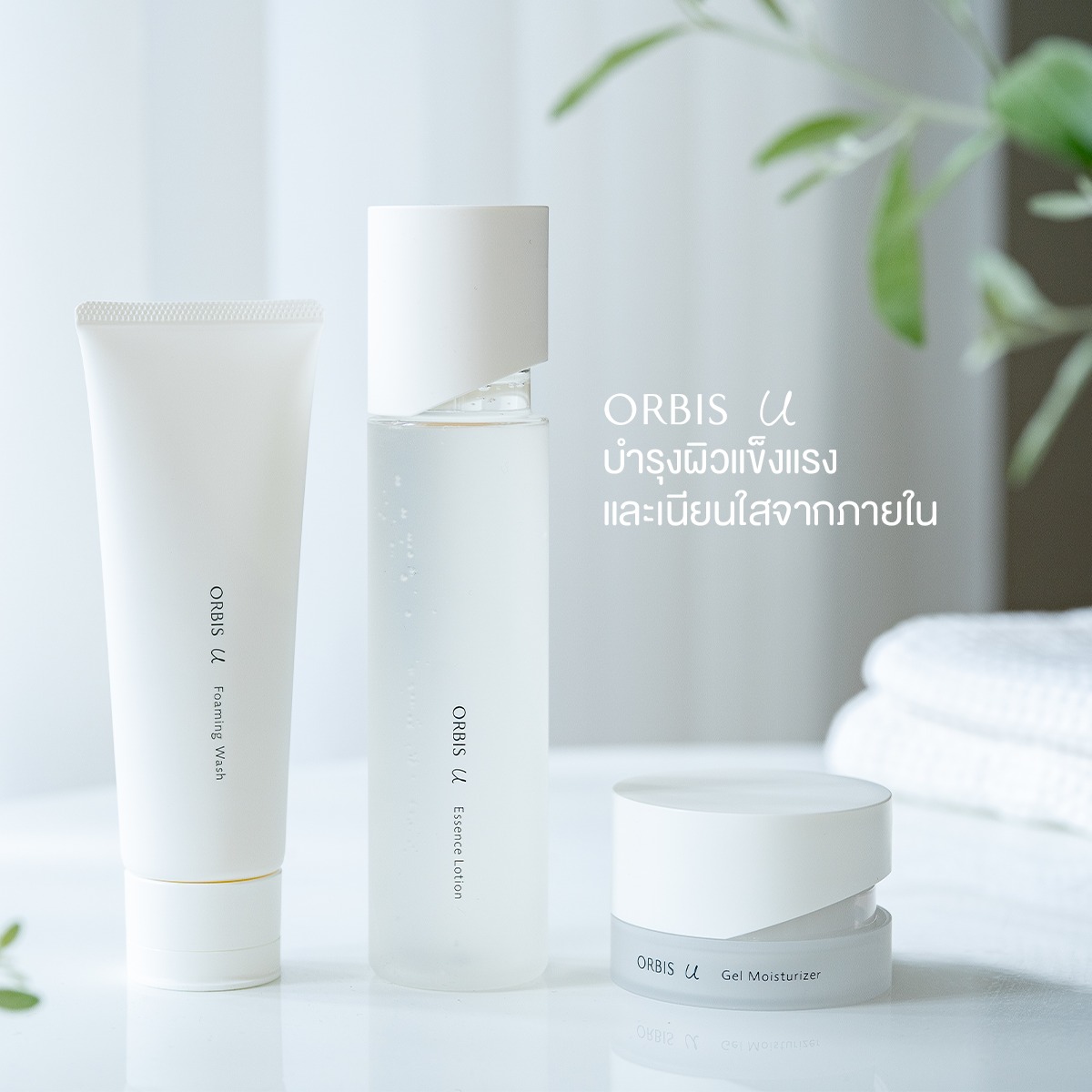 Orbis Thailand | LINE SHOPPING