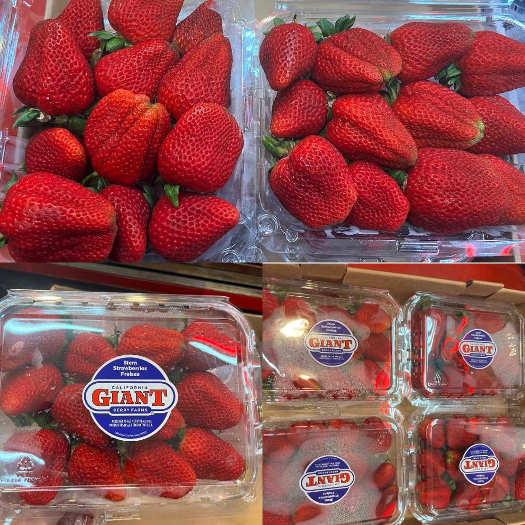 Alive Fruits | LINE SHOPPING