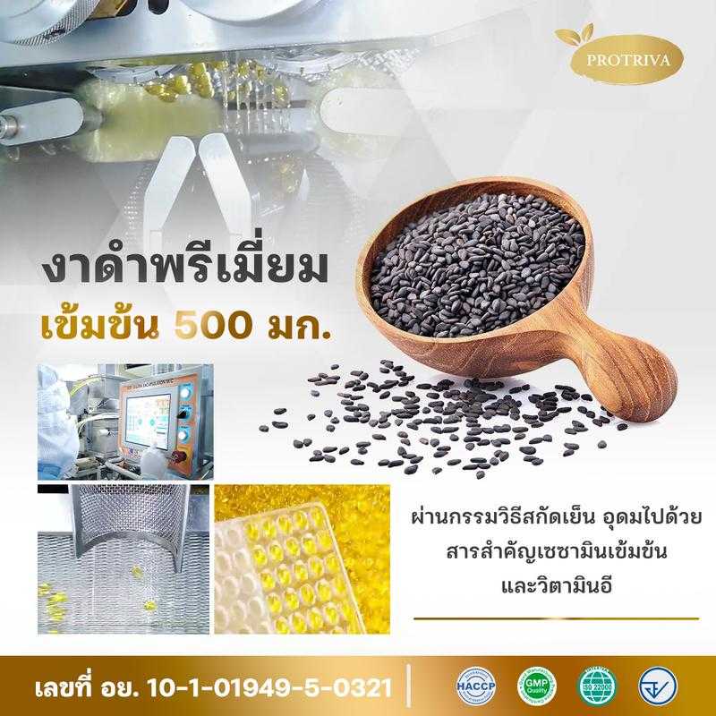 PROTRIVA Black Seeds แบล็คซีดส์ น้ำมันงาดำสกัดเย็น ปวดข้อ ปวดเข่า 1 ...