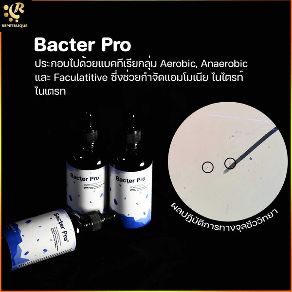 Bacter Pro 100 ml แบคทีเรียน้ำ ปรับสภาพน้ำก่อนลงปลา ช่วยน้ำใส เซ็ตระบบ ปรับสมดุลของระบบนิเวศ ...