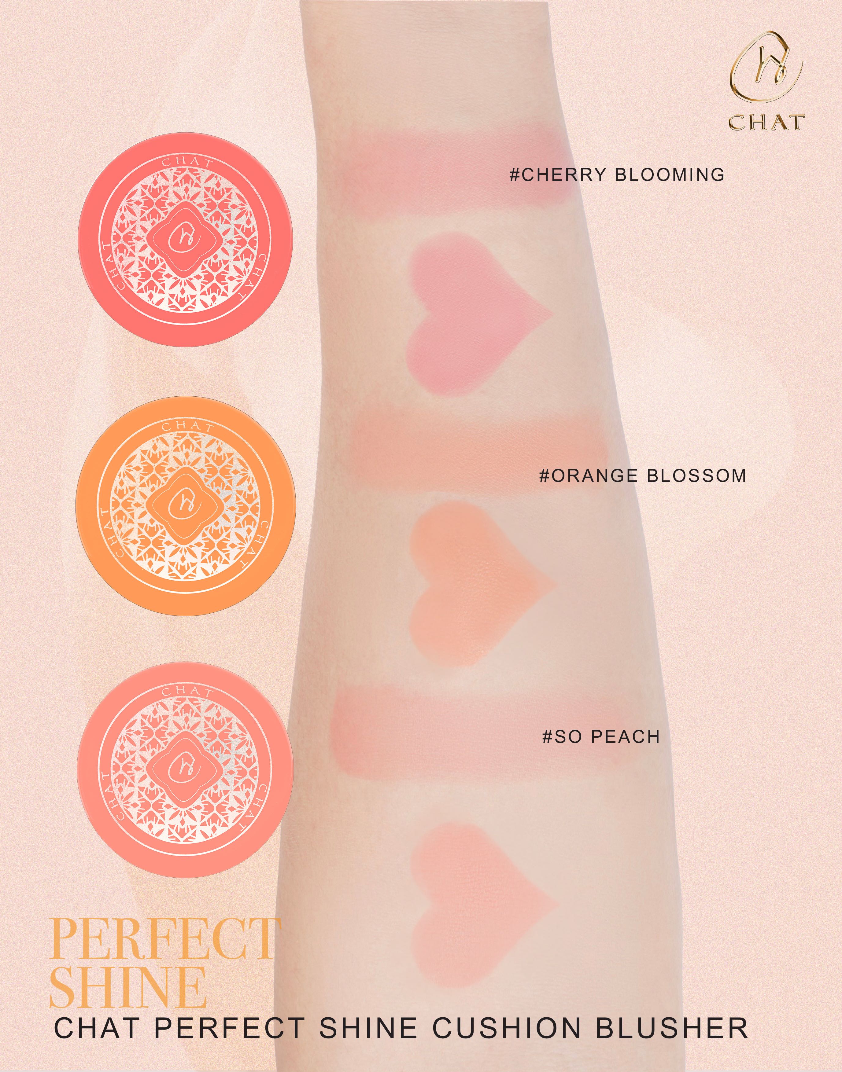 Chat Perfect Shine Cushion Blusher ปัดแก้มคุชชั่น สีแน่น ติดทน ได้ผิว ...