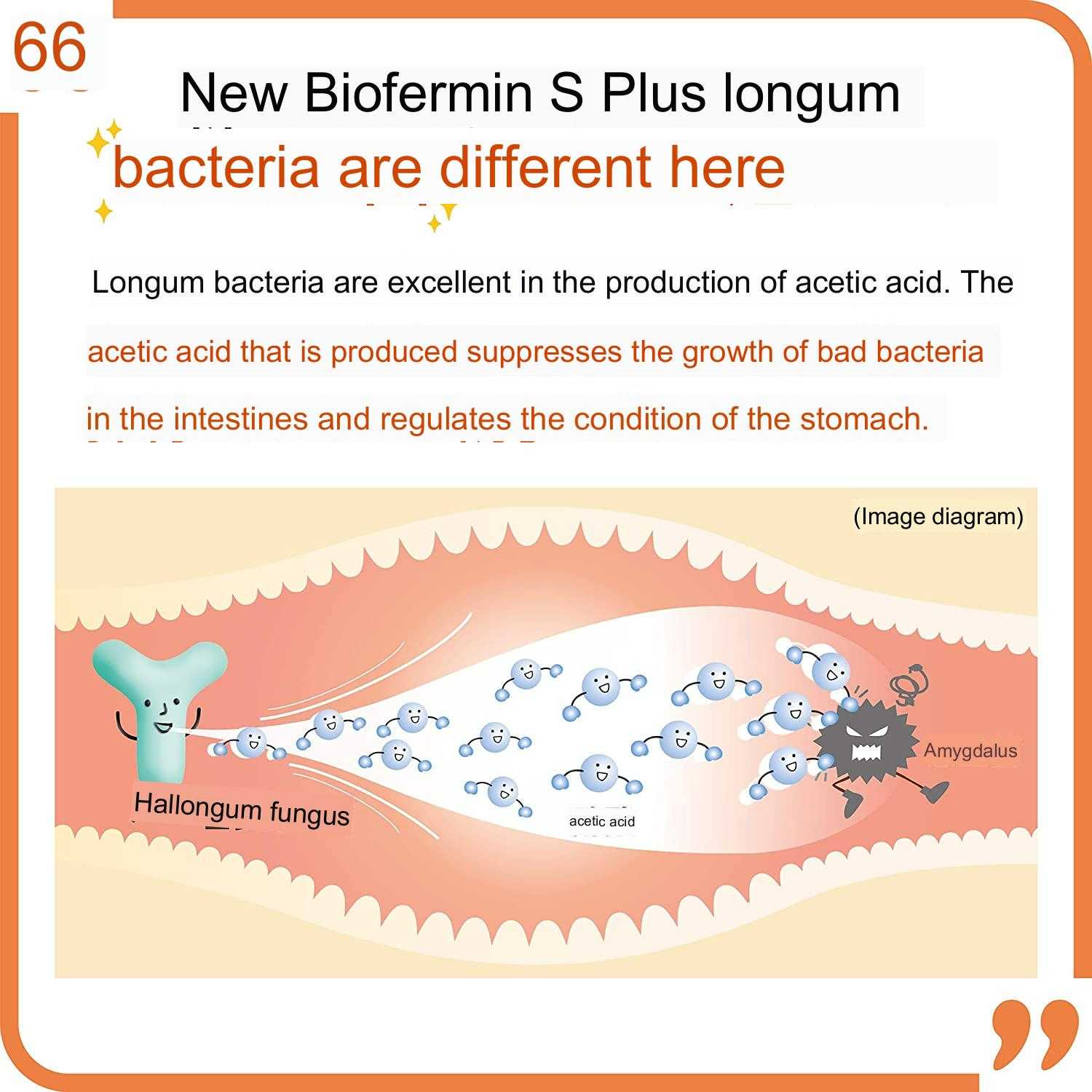Shin Biofermin S Plus รุ่นใหม่! ปรับสมดุลในลำไส้ ผลิตจากจุลินทรีย์ดี (โ ...
