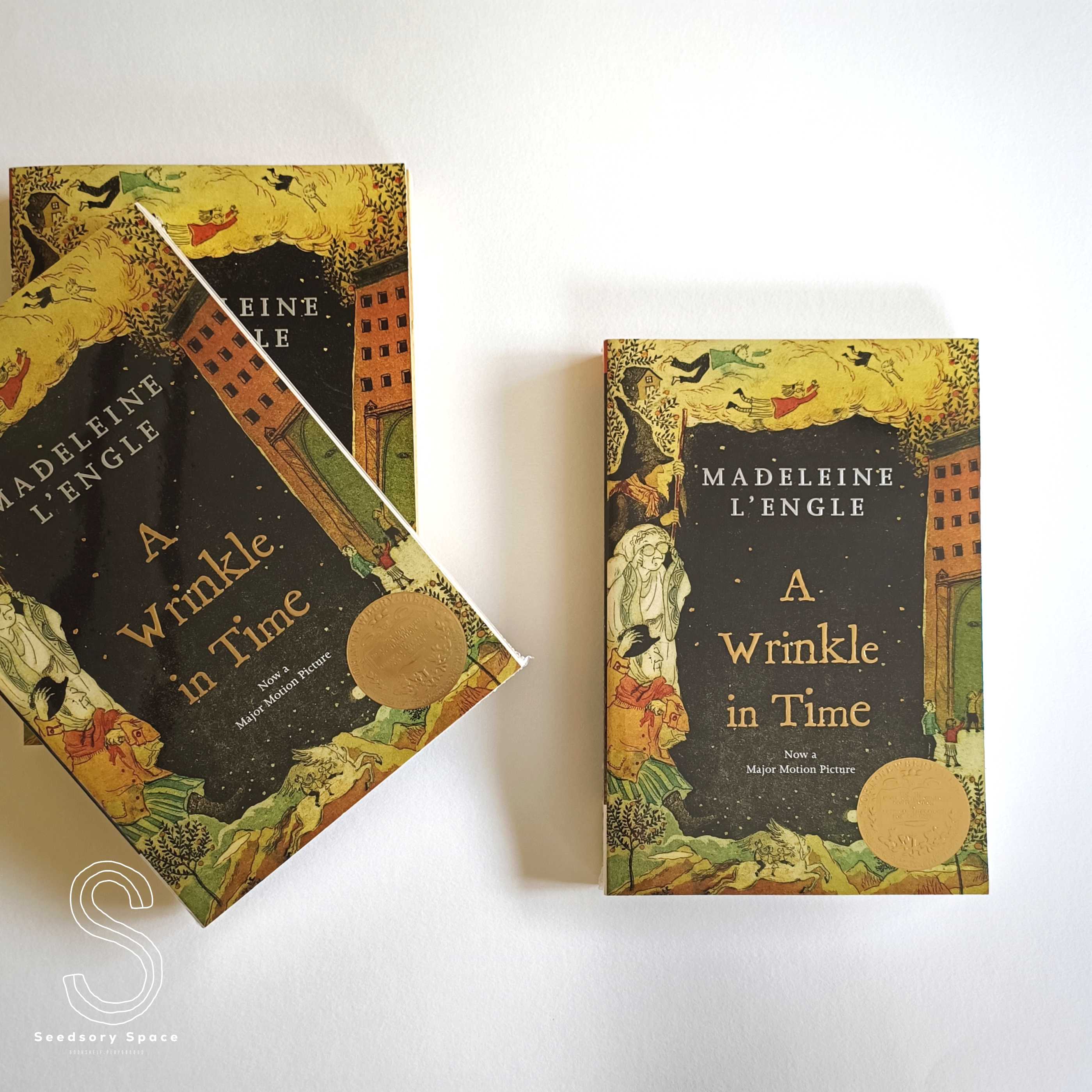 A Wrinkle in Time [Madeleine L' Engle] | LINE SHOPPING