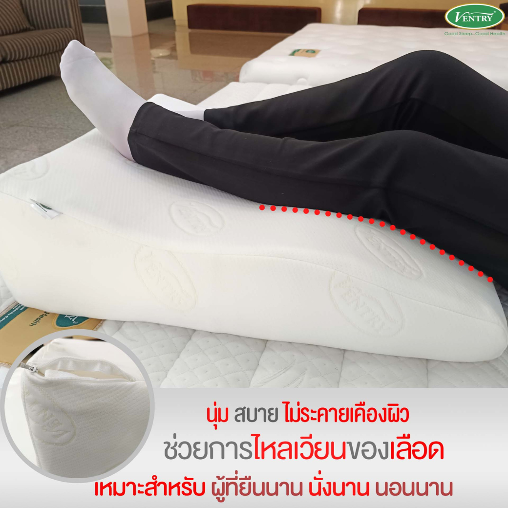 Ventry Varicose Pillow เบาะเส้นเลือดขอด เบาะรองขาสำหรับผู้ป่วย | LINE ...