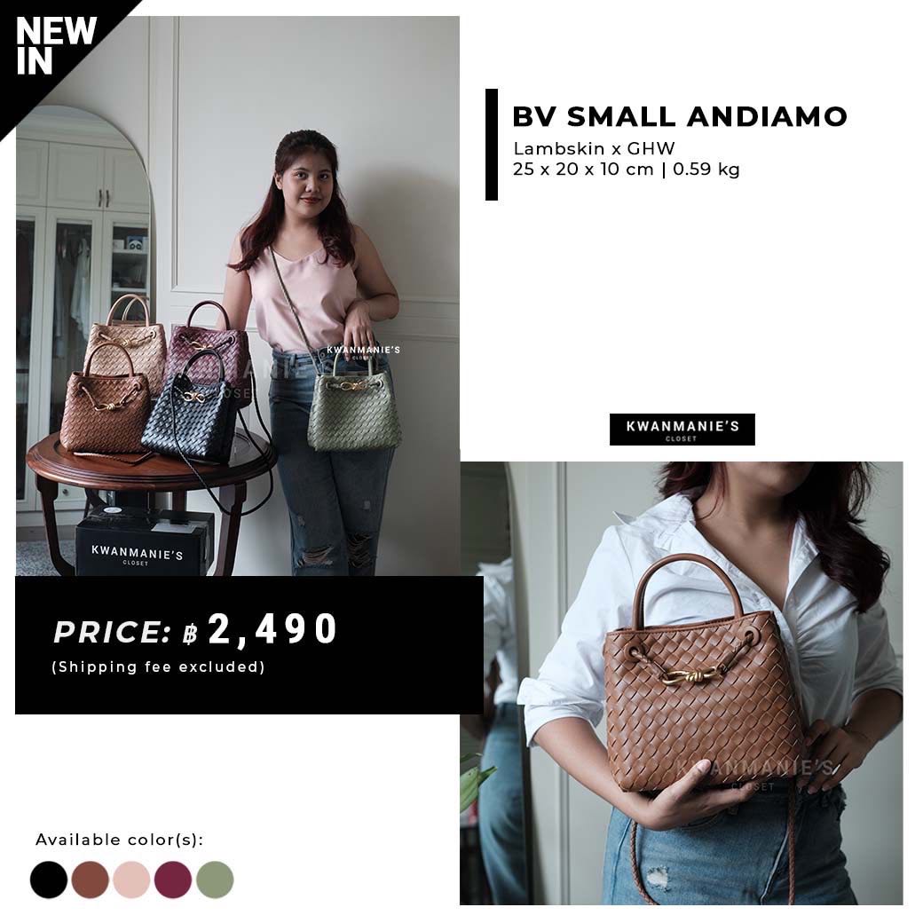 BV Small Andiamo | LINE SHOPPING
