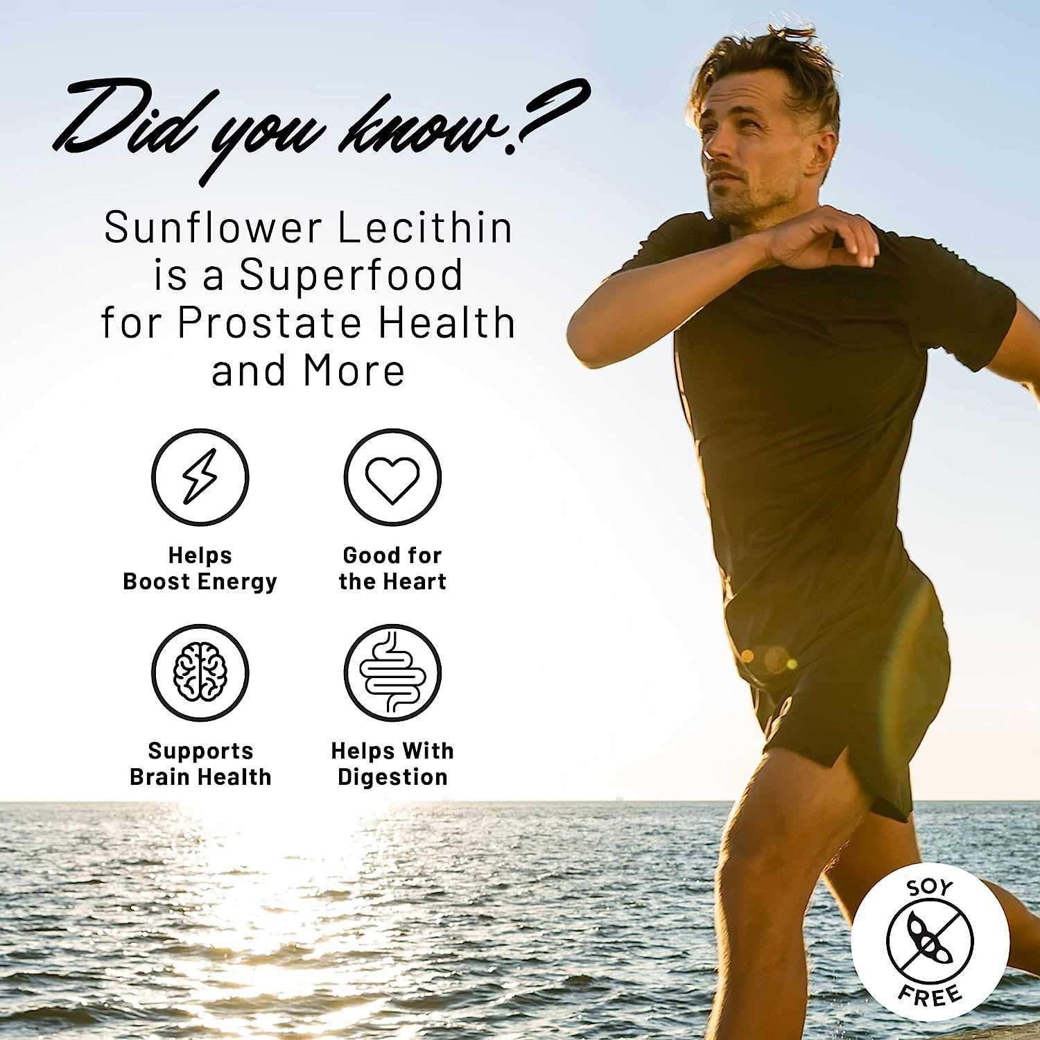 Legendairy Milk Sunflower Lecithin 1200mg เลซิติน ลดท่อน้ำนมอุดตัน ...