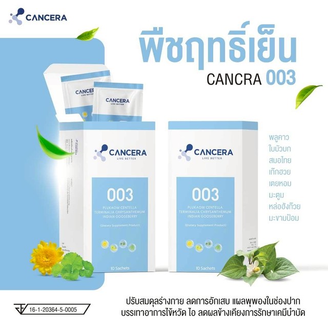 CANCERA003 สูตรพืชฤทธิ์เย็น ลดการอักเสบ ผลข้างเคียงการรักษา คีโม ฉายเเสง ปรับสมดุลร่างกาย | LINE ...