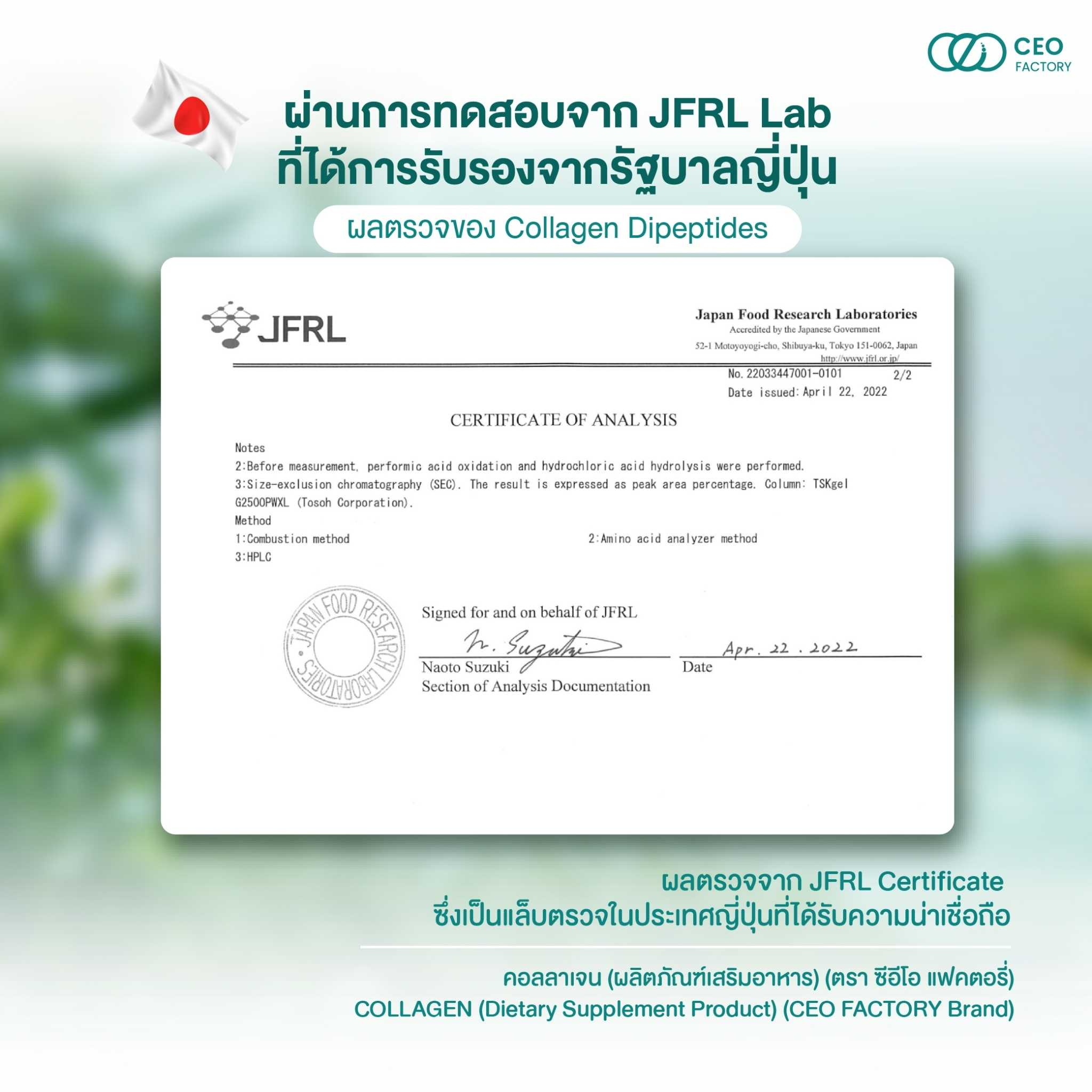 CEO FACTORY COLLAGEN | LINE SHOPPING