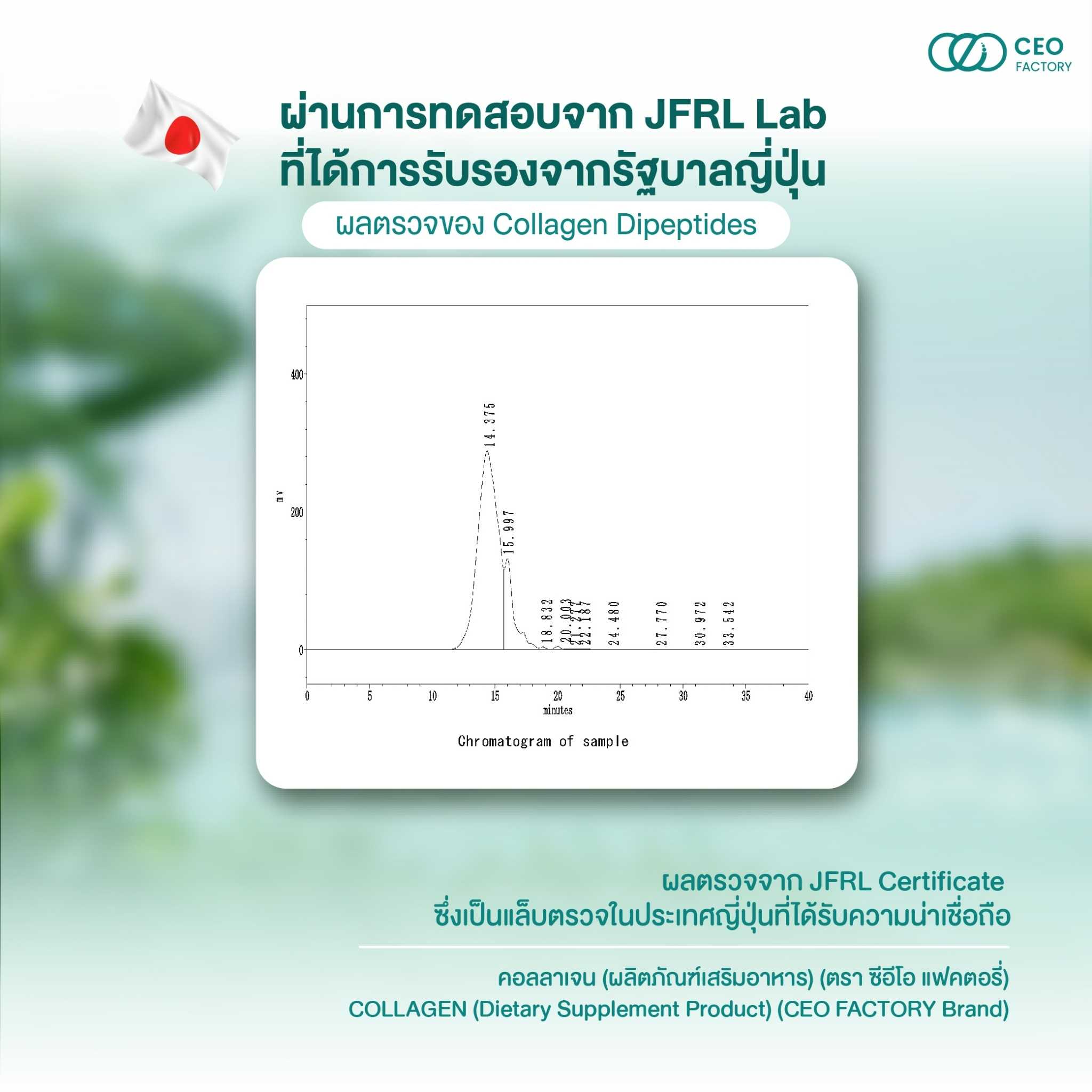 CEO FACTORY COLLAGEN | LINE SHOPPING