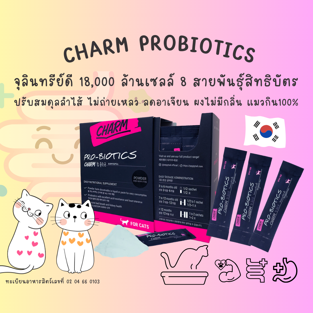 Chummy Charm | LINE SHOPPING