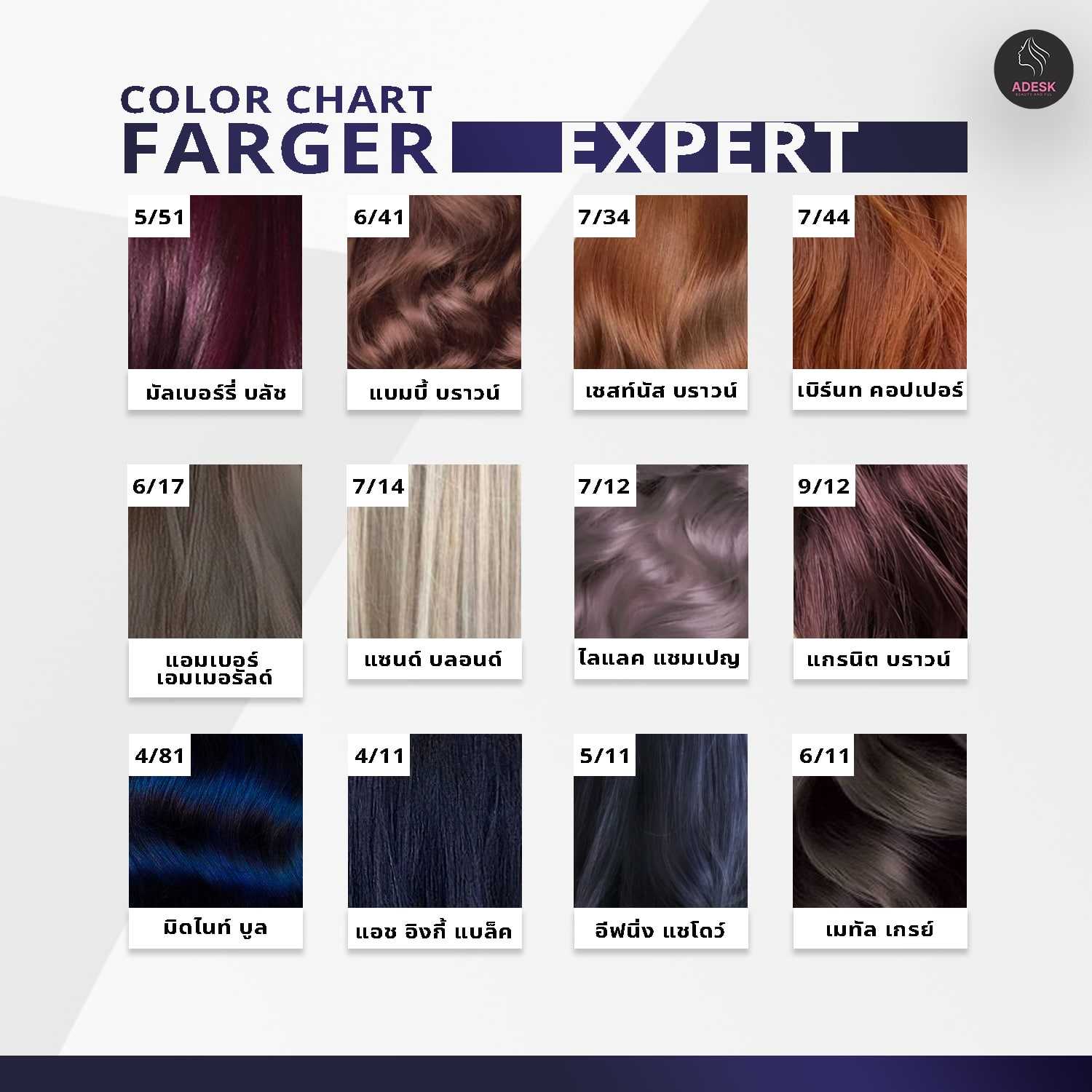 ฟาร์เกอร์ Ash/Mix แม่สีเทา สีผม ครีมย้อมผม สีย้อมผม FARGER ASH/MIX GREY ...