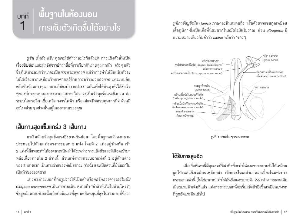 “The Pe nis book” (สุขภาพผู้ชายที่ทุกคนควรรู้) | LINE SHOPPING