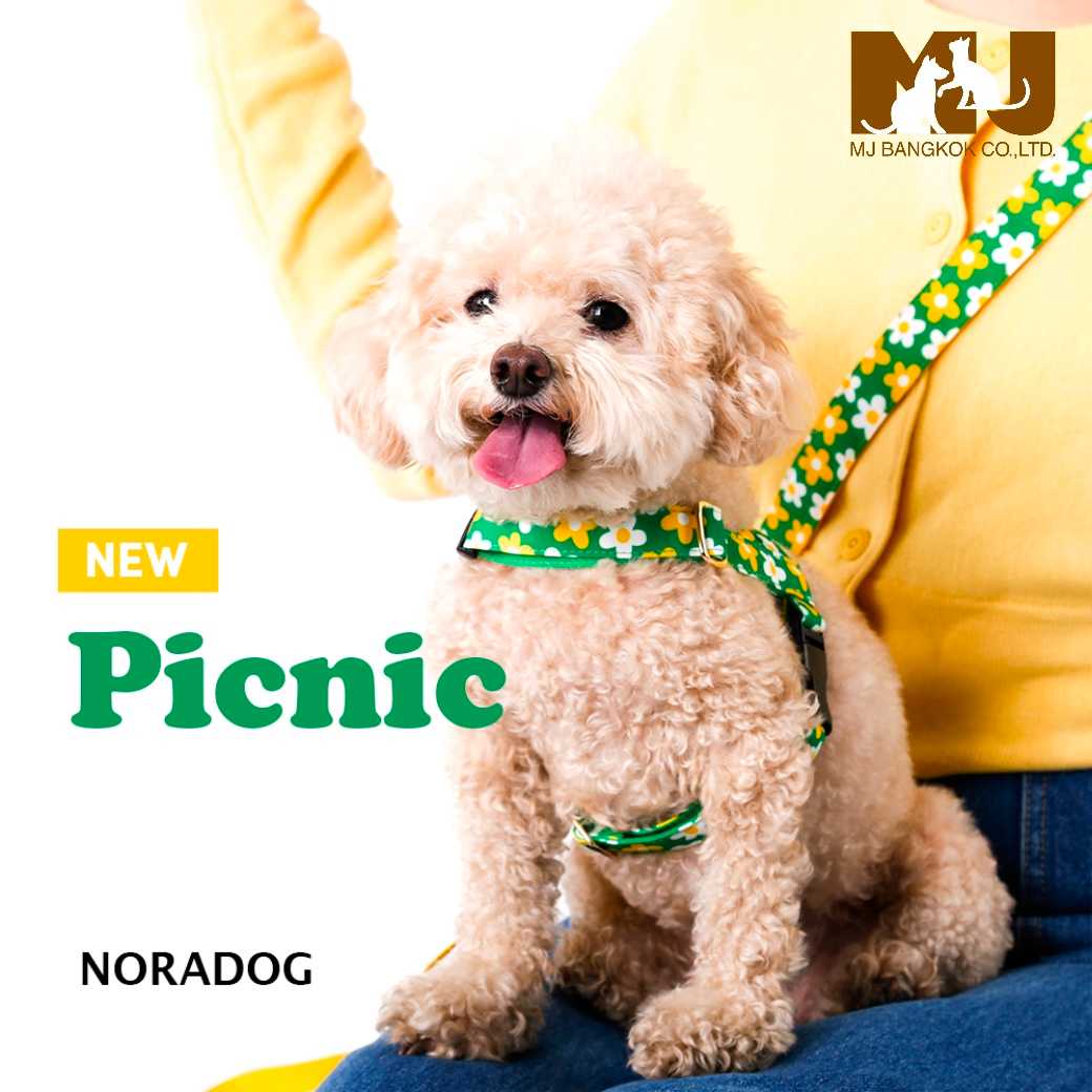 NORADOG Picnic Collar | LINE SHOPPING